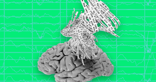 Hirnscanner übersetzen Gedanken in Text und Bild - Systeme ...